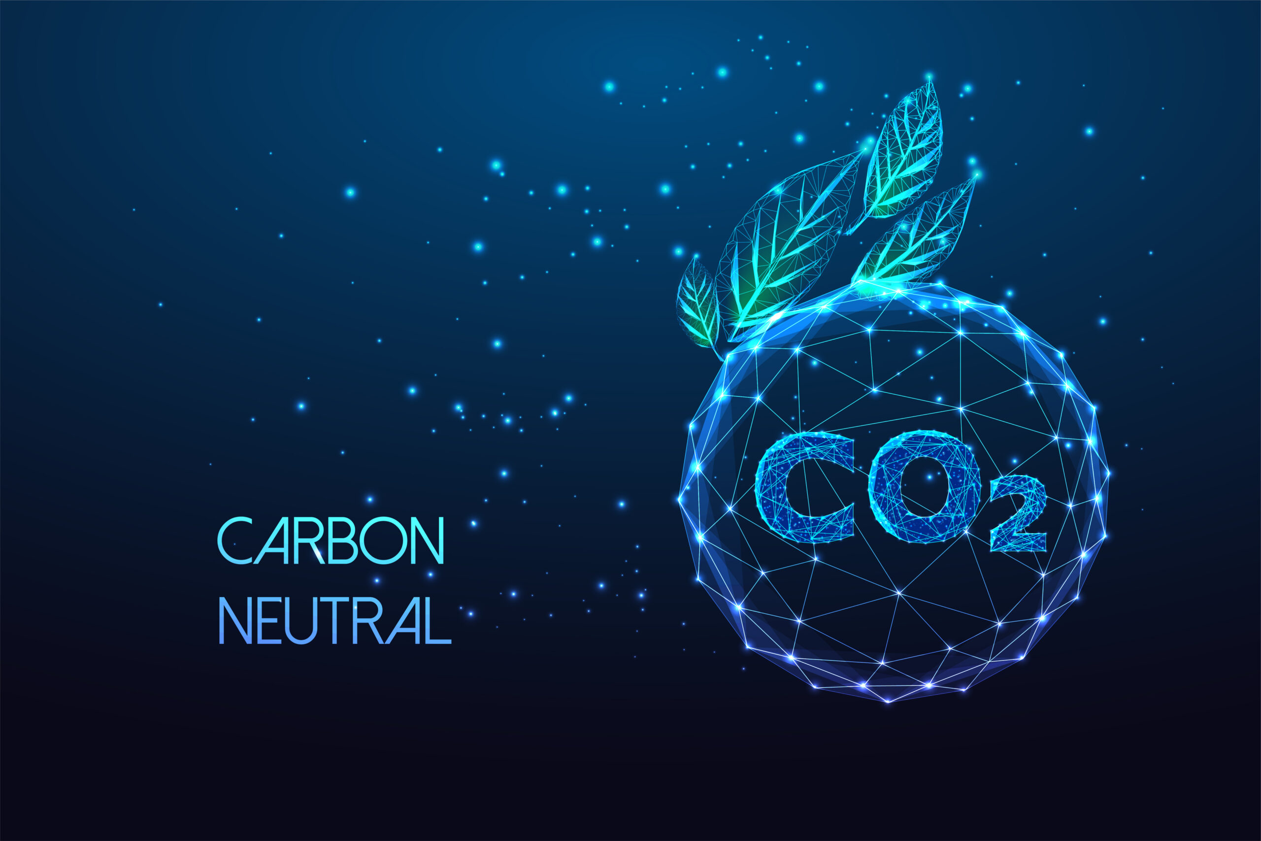 Carbon Neutral vs. Net Zero: Understanding the Difference - FRISK ...